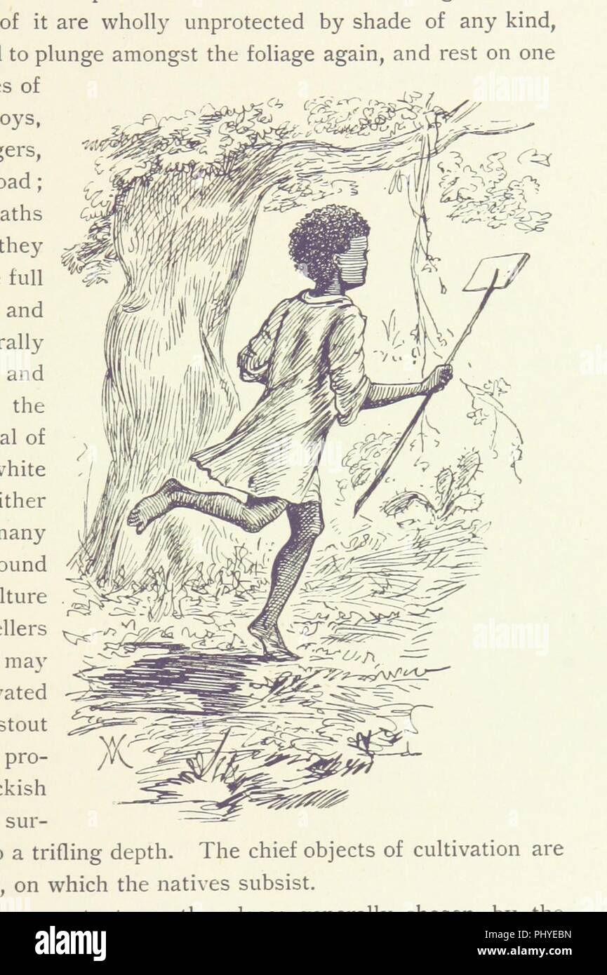 Chiloane hi-res stock photography and images - Alamy