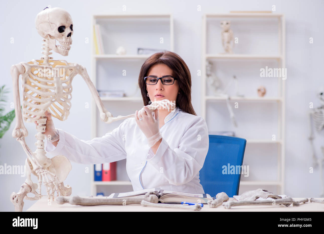Doctor working in the lab on skeleton Stock Photo - Alamy