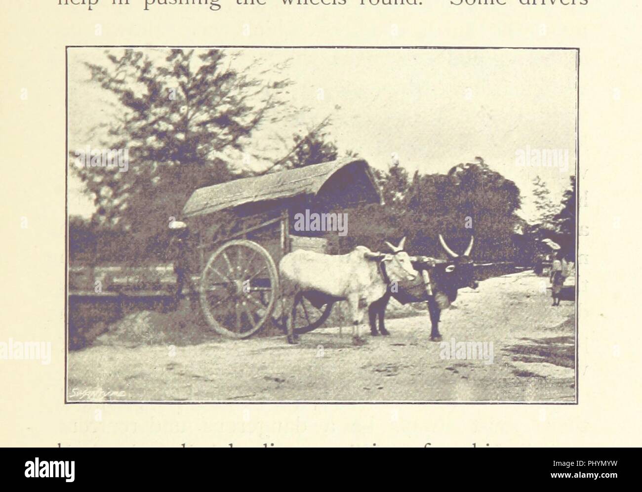 Image from page 161 of 'Camping and Tramping in Malaya fifteen years ...