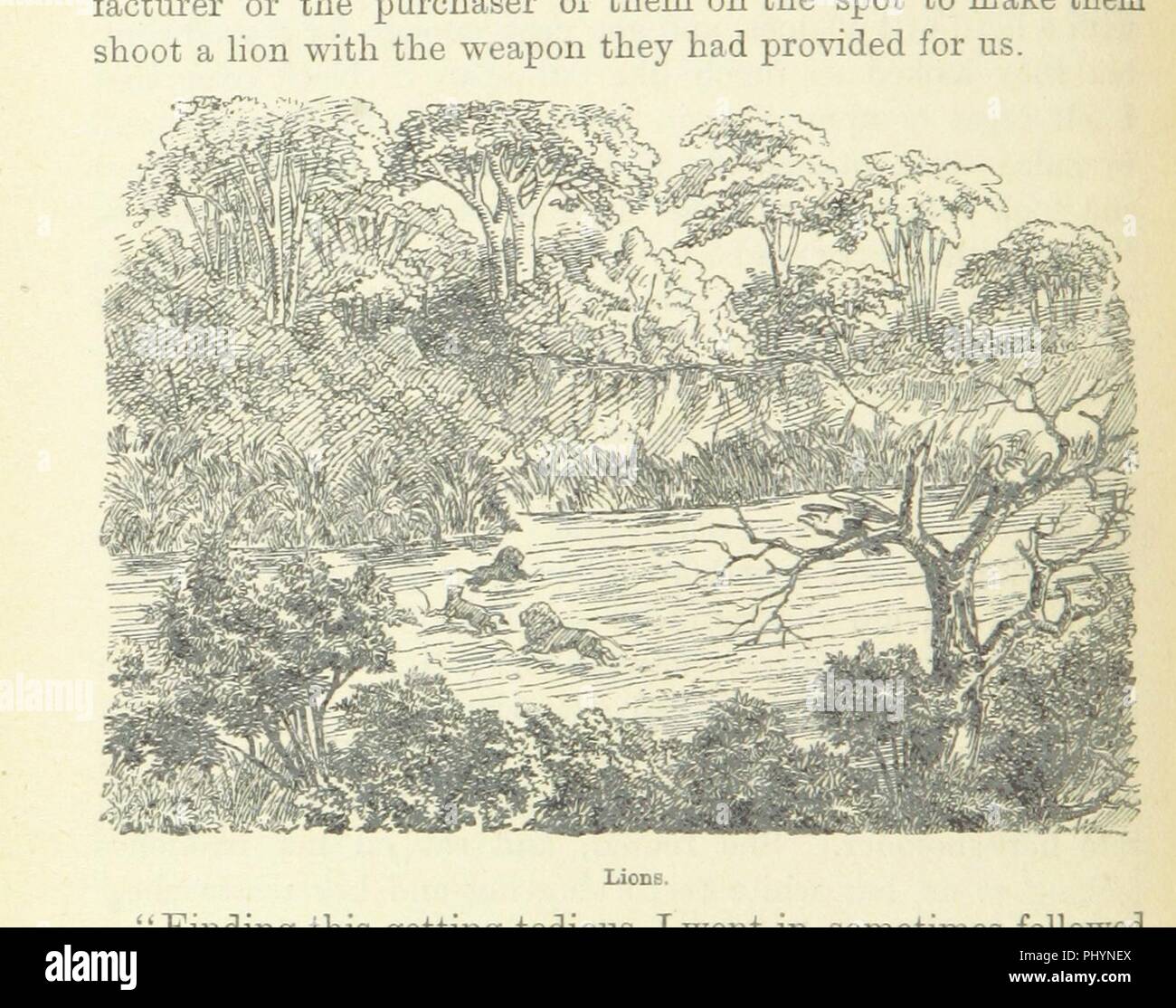 Land gold etc hi-res stock photography and images - Alamy