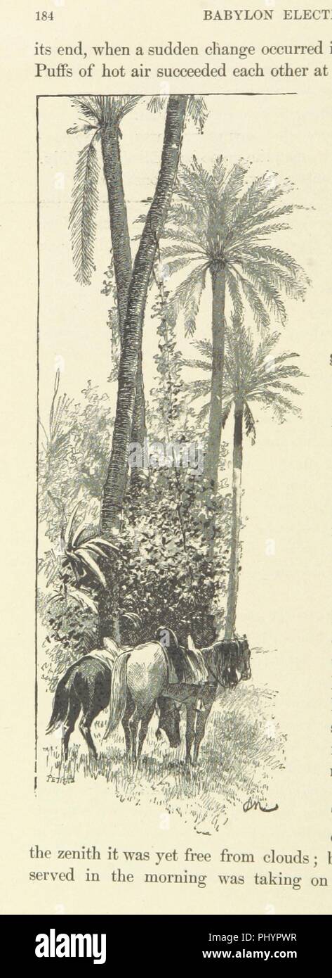 Image from page 196 of 'Babylon Electrified. The history of an expedition under to restore ...