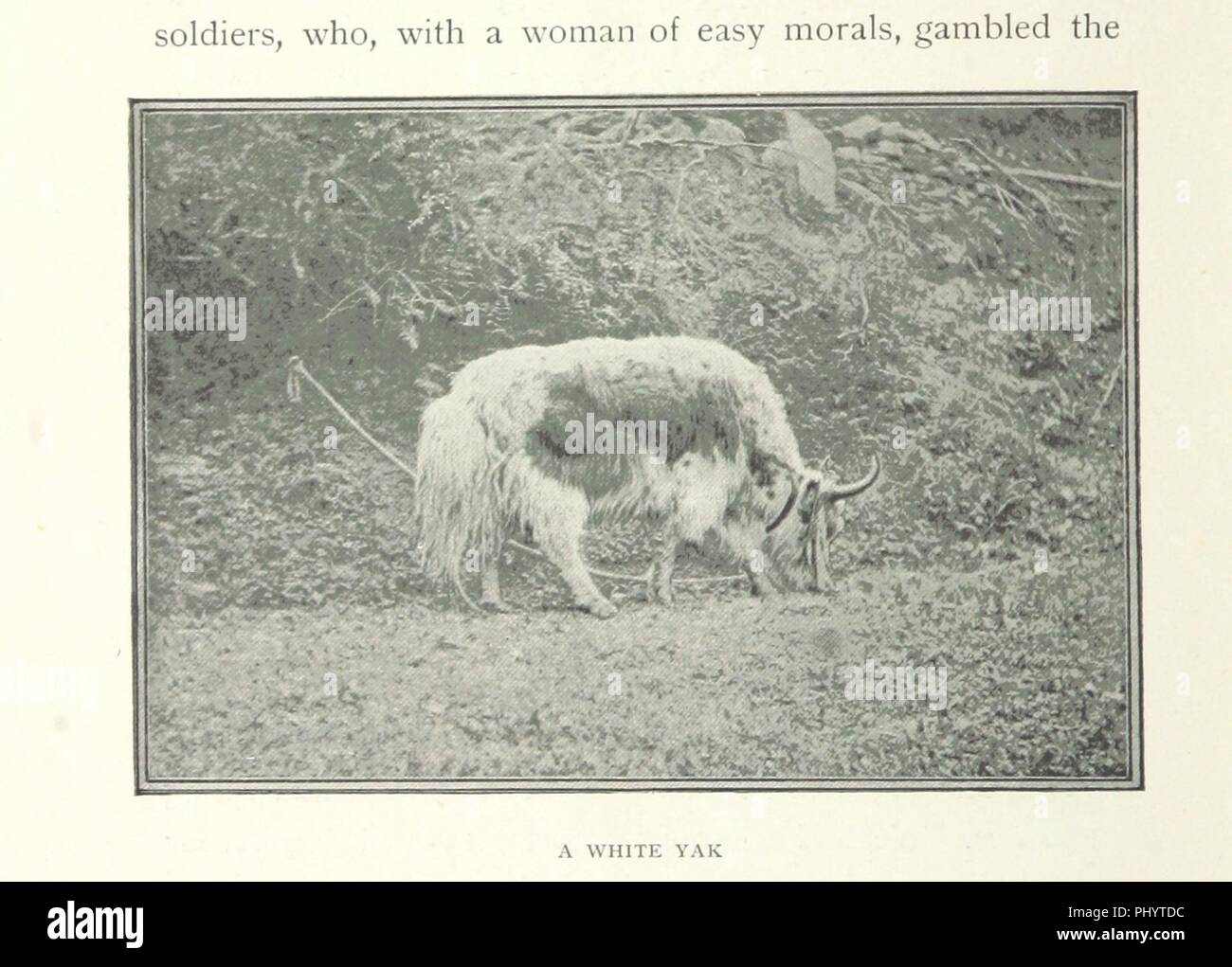 Image from page 228 of 'In the Forbidden Land Second impression' Stock ...