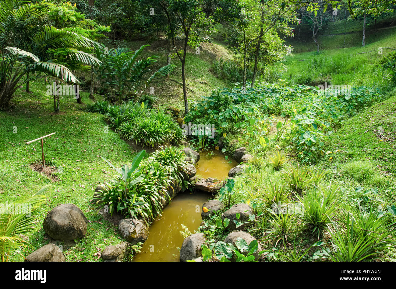 Perdana botanical garden hi-res stock photography and images - Alamy