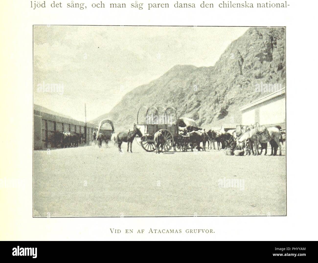 Image from page 293 of 'Från Eldslandet skildringar från den svenska ...