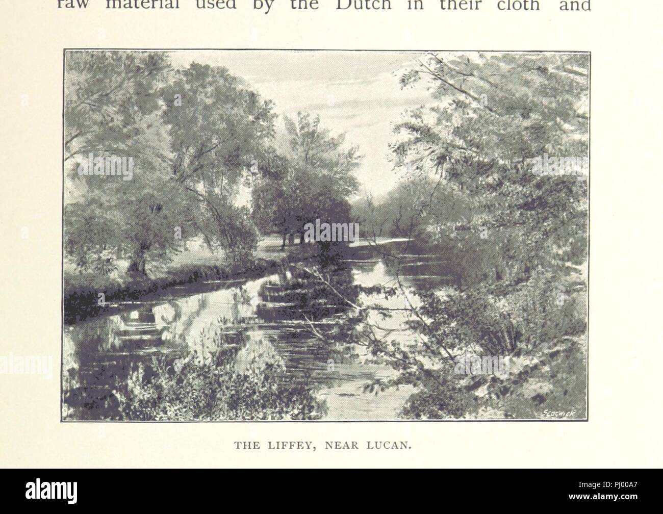 Image from page 319 of 'Picturesque Dublin, old and new With ninety-one ...
