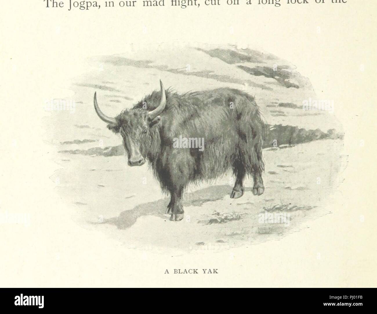 Image from page 354 of 'In the Forbidden Land Second impression' Stock ...