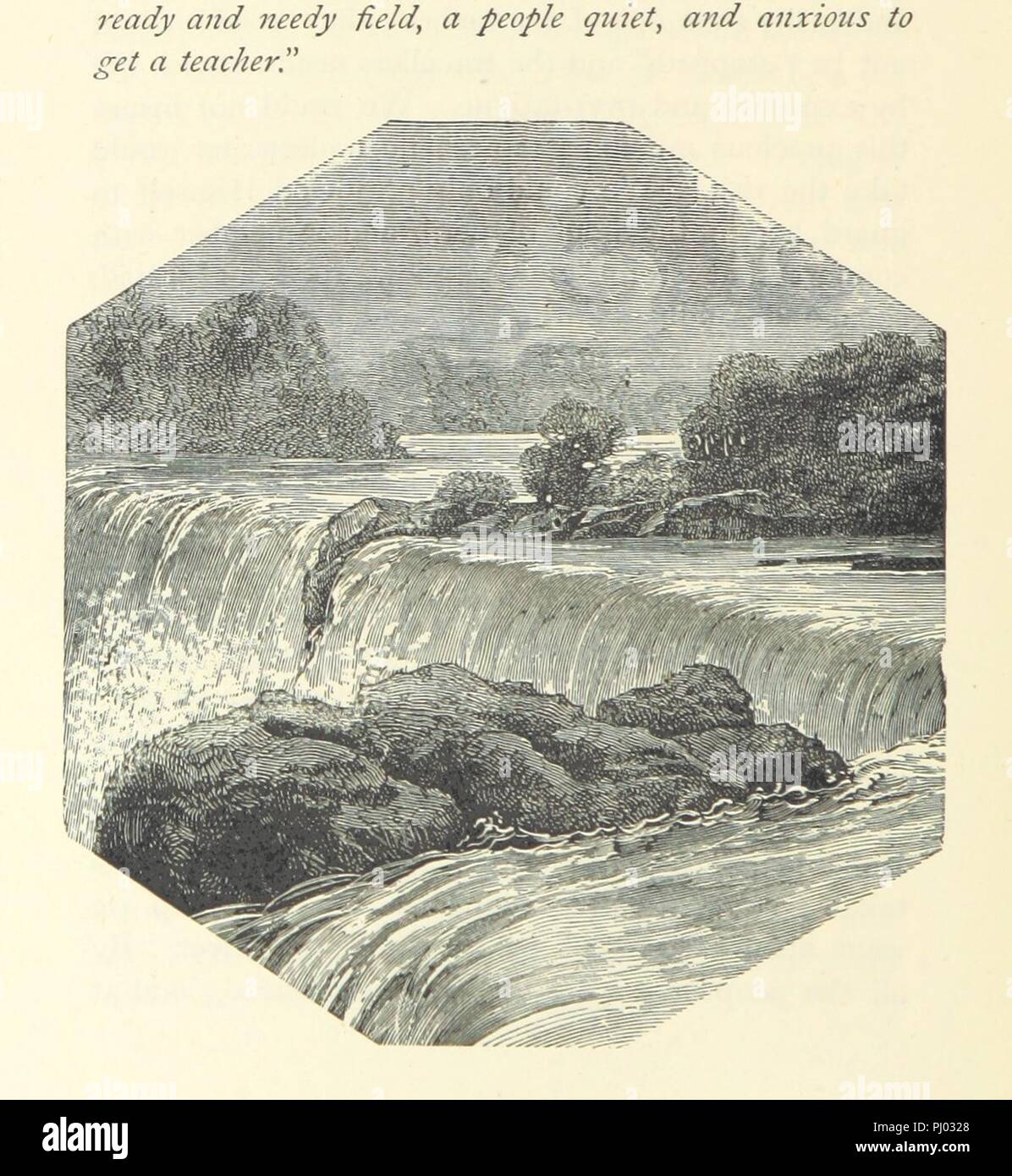 Image from page 414 of 'The New World of Central Africa. With a history ...