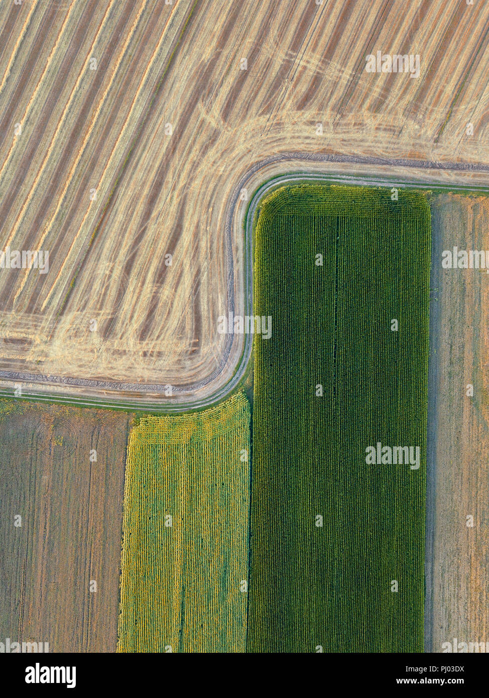 Abstract geometric background of agricultural fields with different ...