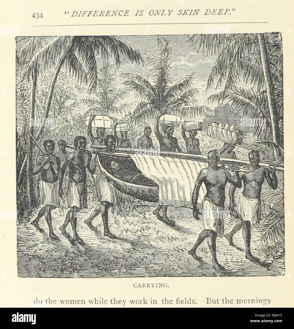 Image from page 460 of 'The New World of Central Africa. With a history ...