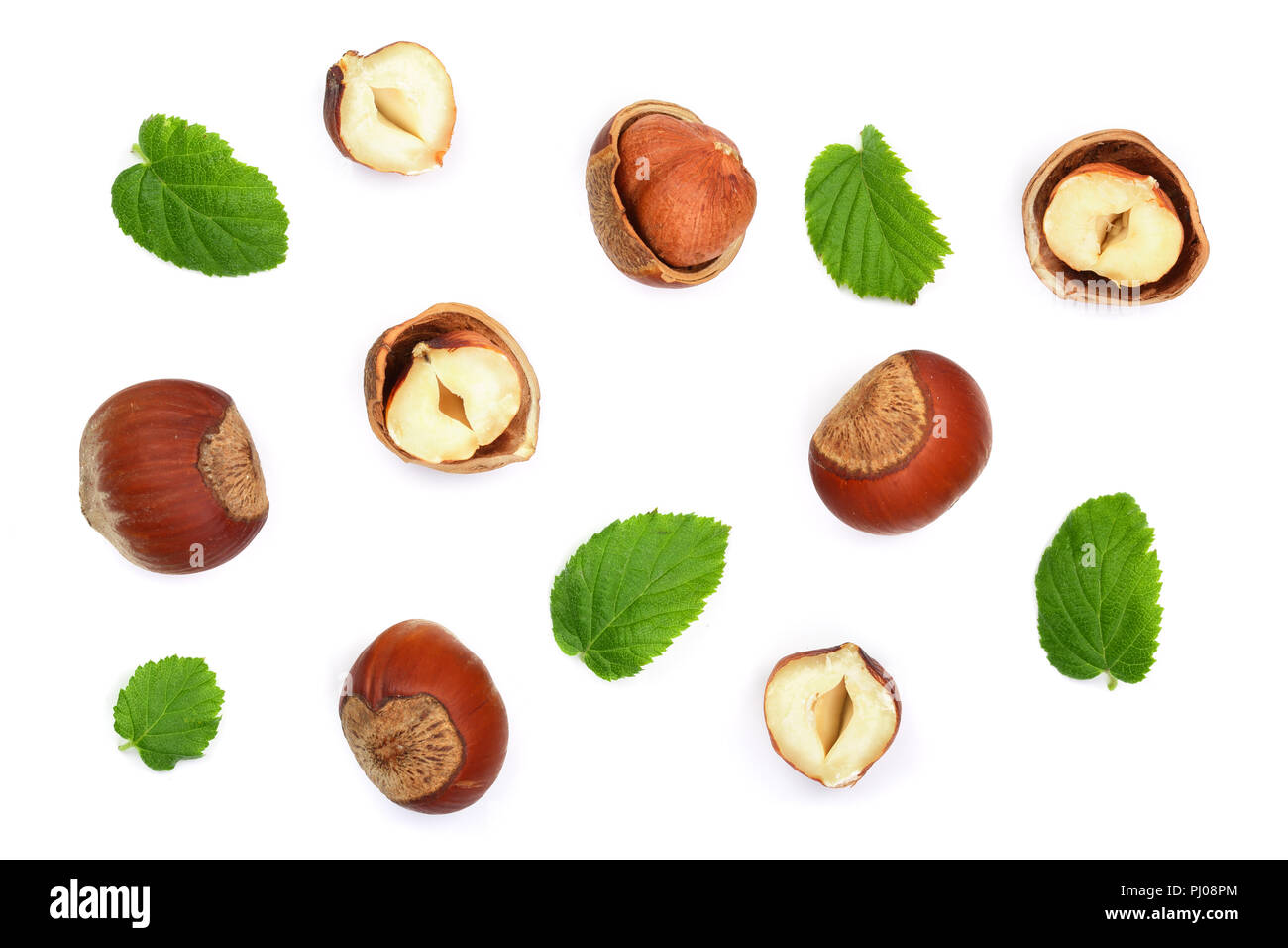 Hazelnuts with leaves isolated on white background. Top view. Flat lay ...