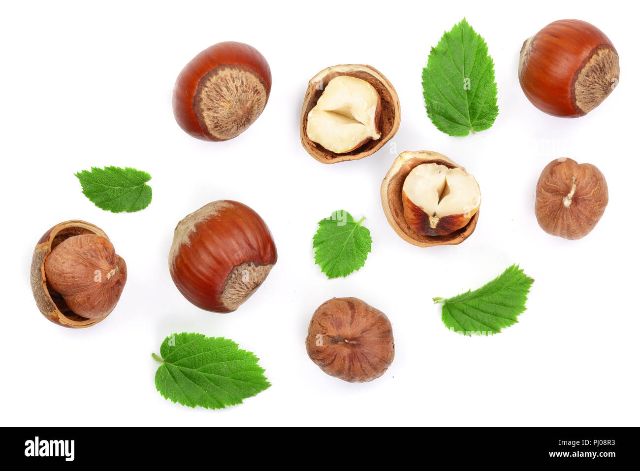 Hazelnuts with leaves isolated on white background. Top view. Flat lay ...