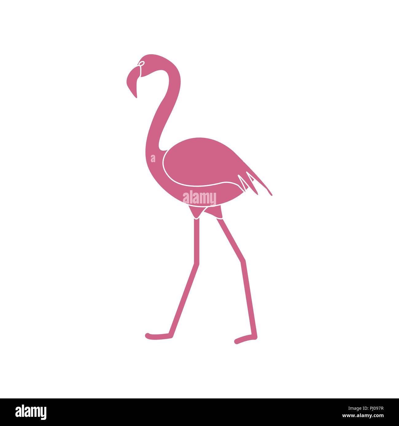 Vector illustration with Flamingo bird. Design for poster or print ...