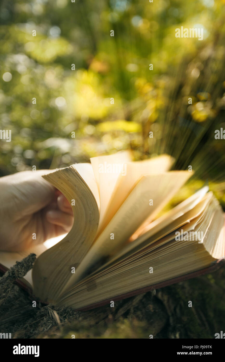 Magic wood hi-res stock photography and images - Alamy