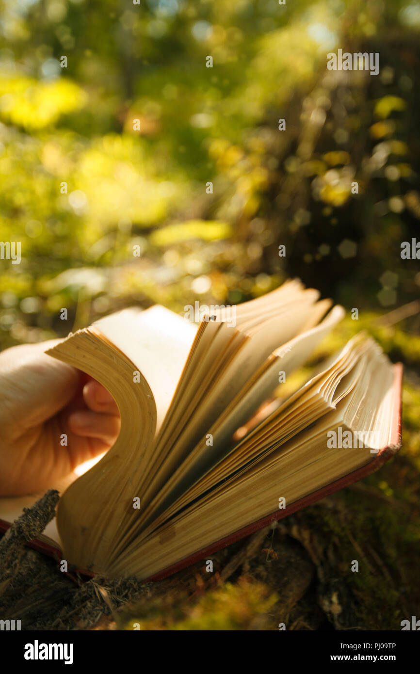 Storytelling study hi-res stock photography and images - Alamy