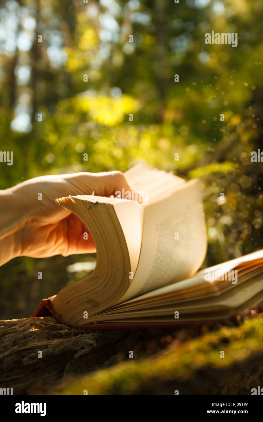 Old Book With Magic Lights in fairytale forest, mystic magic bright ...