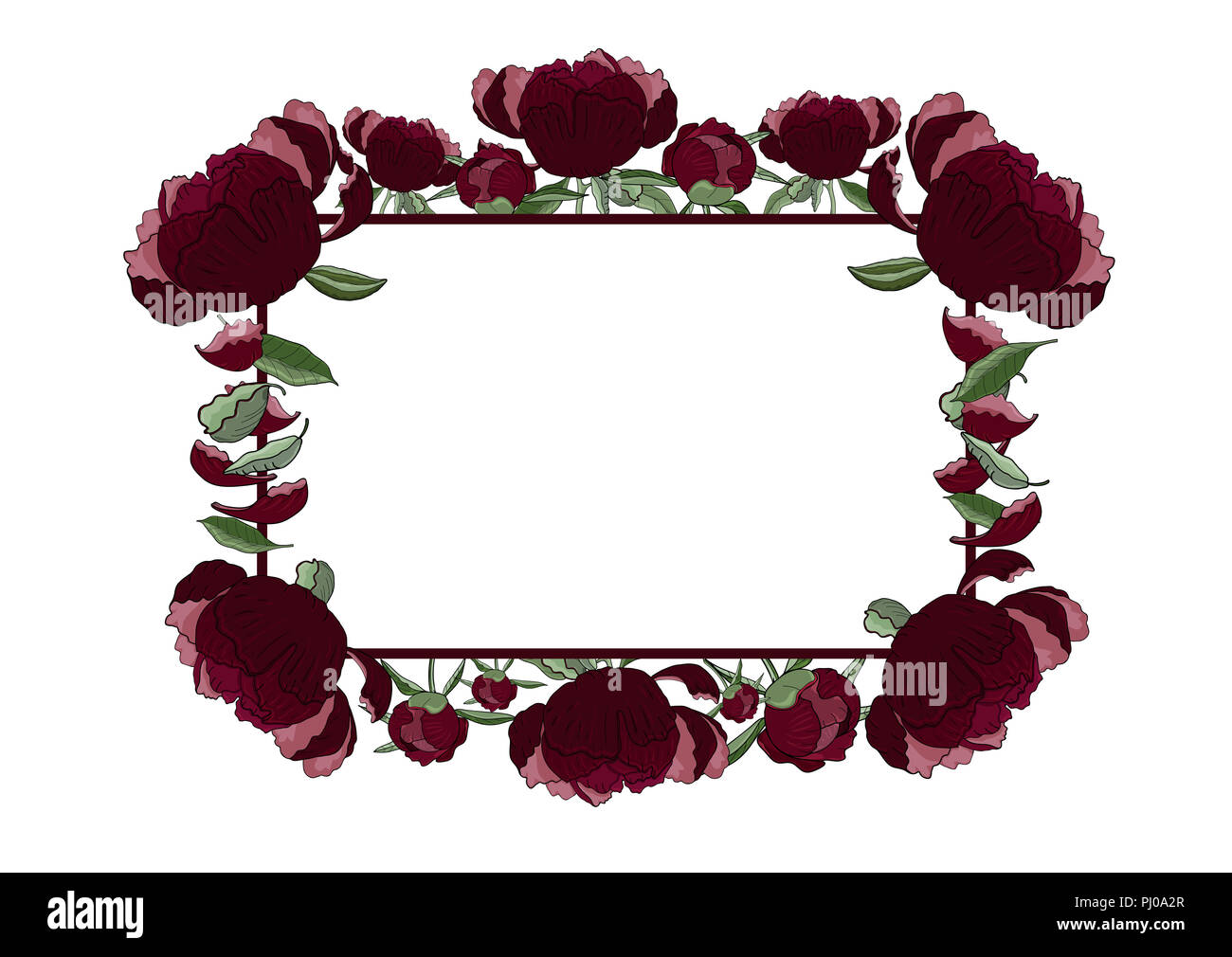 Floral rectangular frame of dark red peony flowers, buds and leaves ...