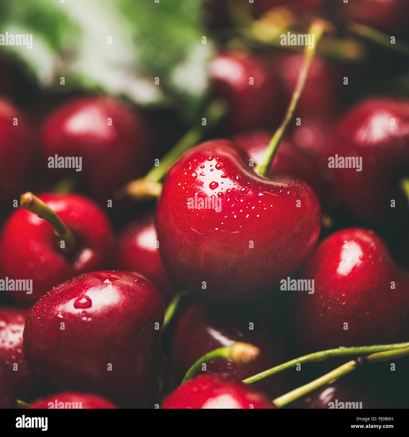Fresh sweet cherry texture, wallpaper and background, close-up, square ...