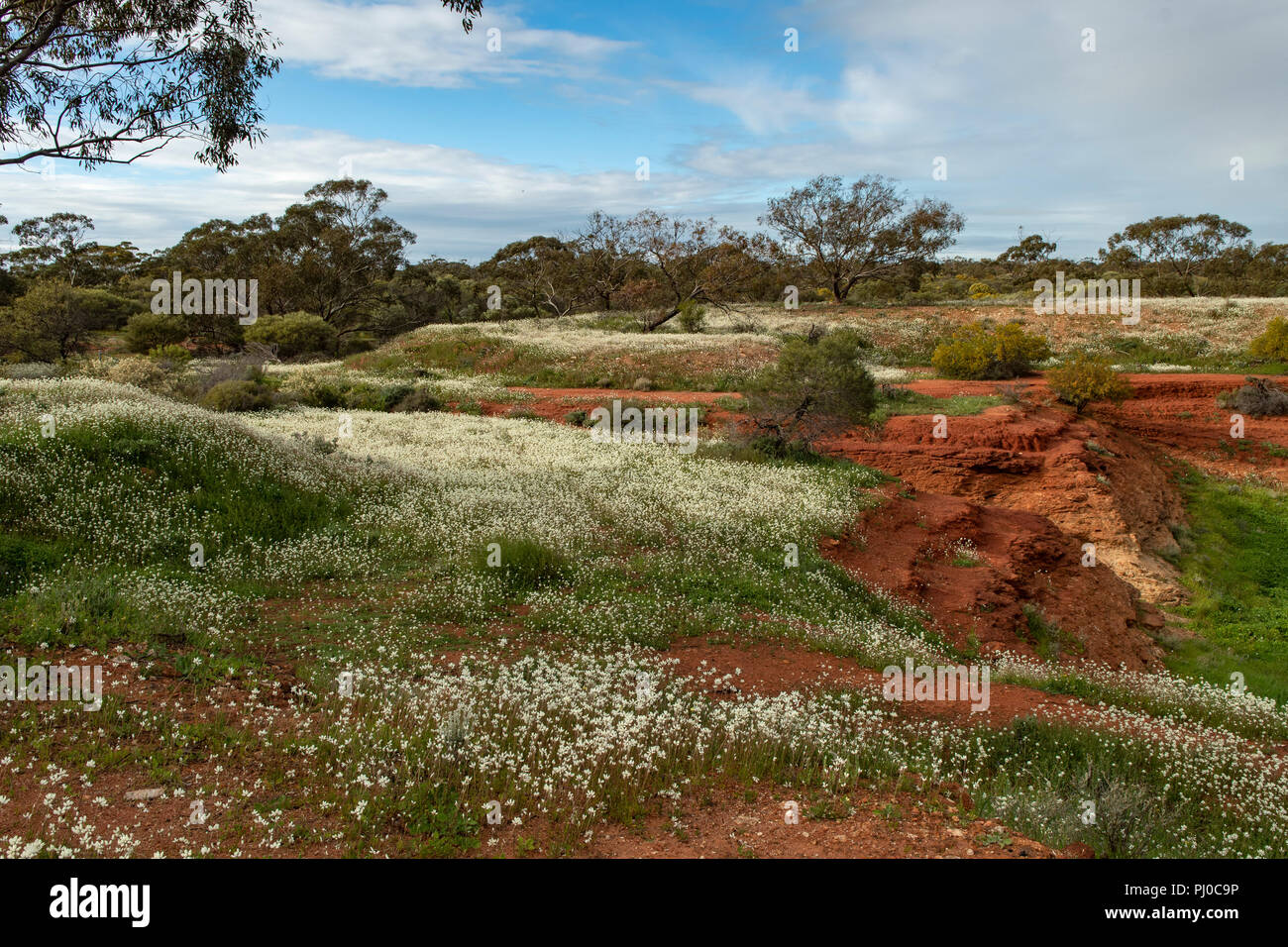 Morawa hi-res stock photography and images - Alamy