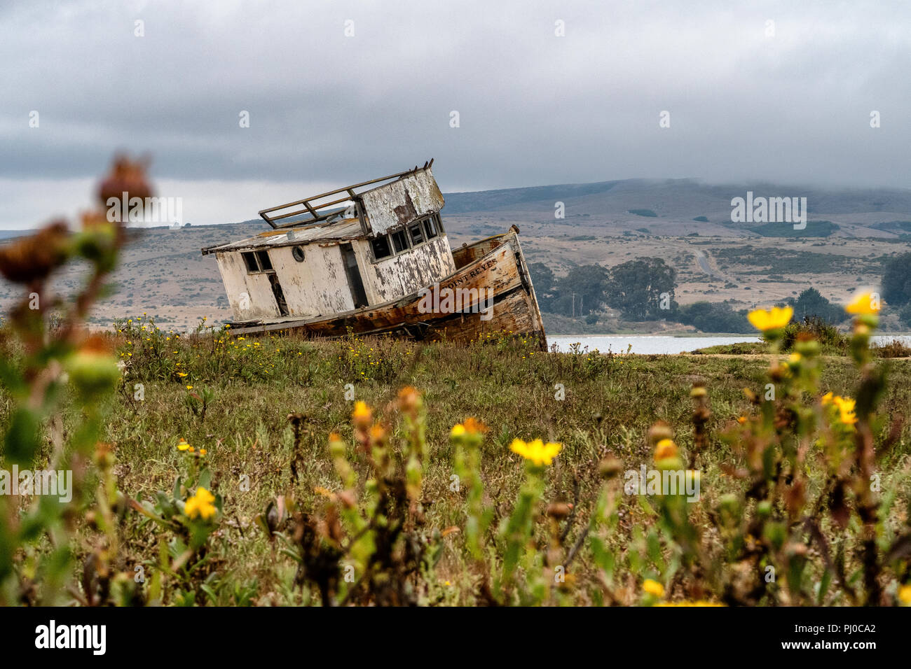 The Point Reyes abandoned shipwreck along the shore of Tomales Bay at ...