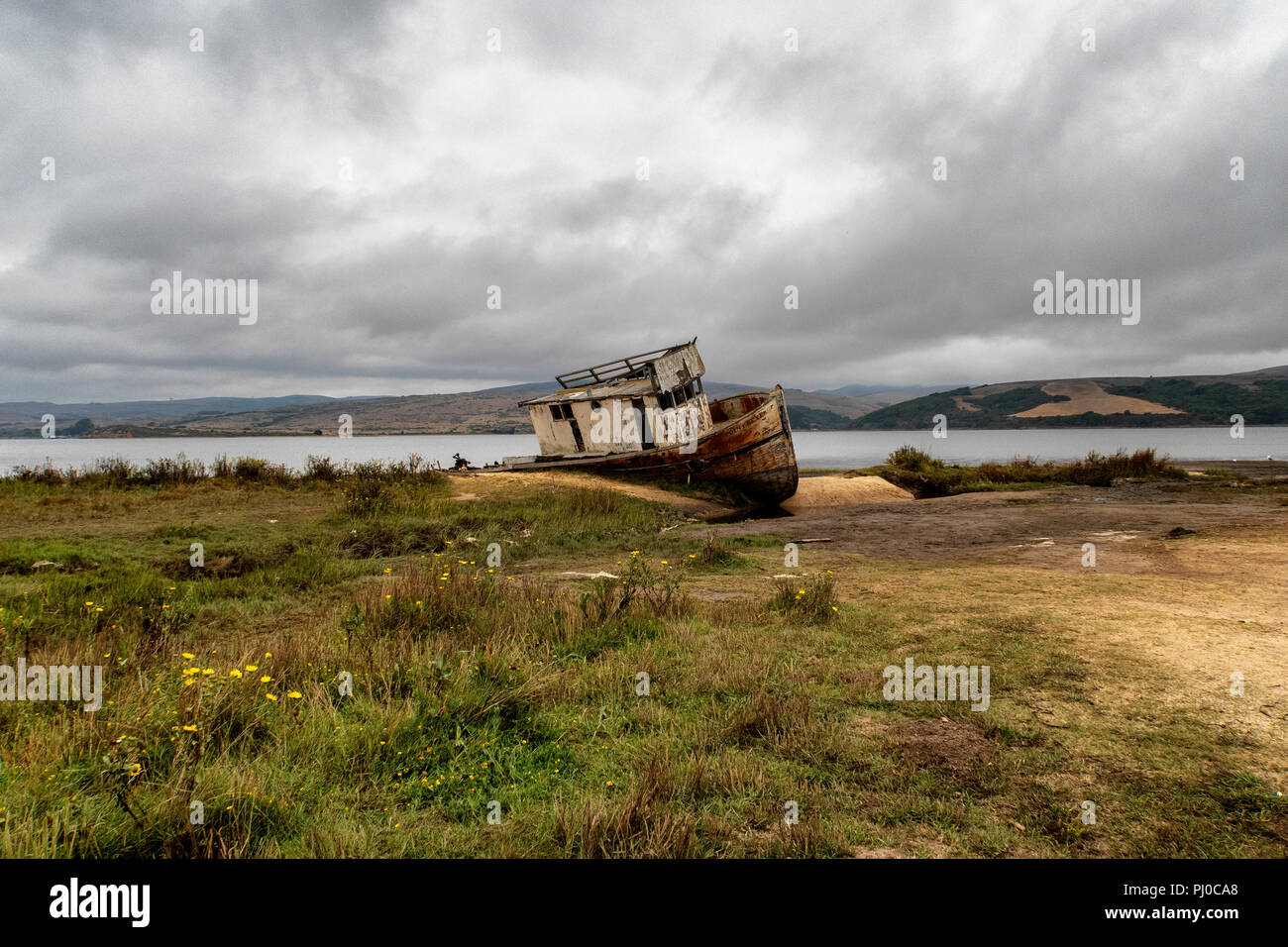 The Point Reyes abandoned shipwreck along the shore of Tomales Bay at ...