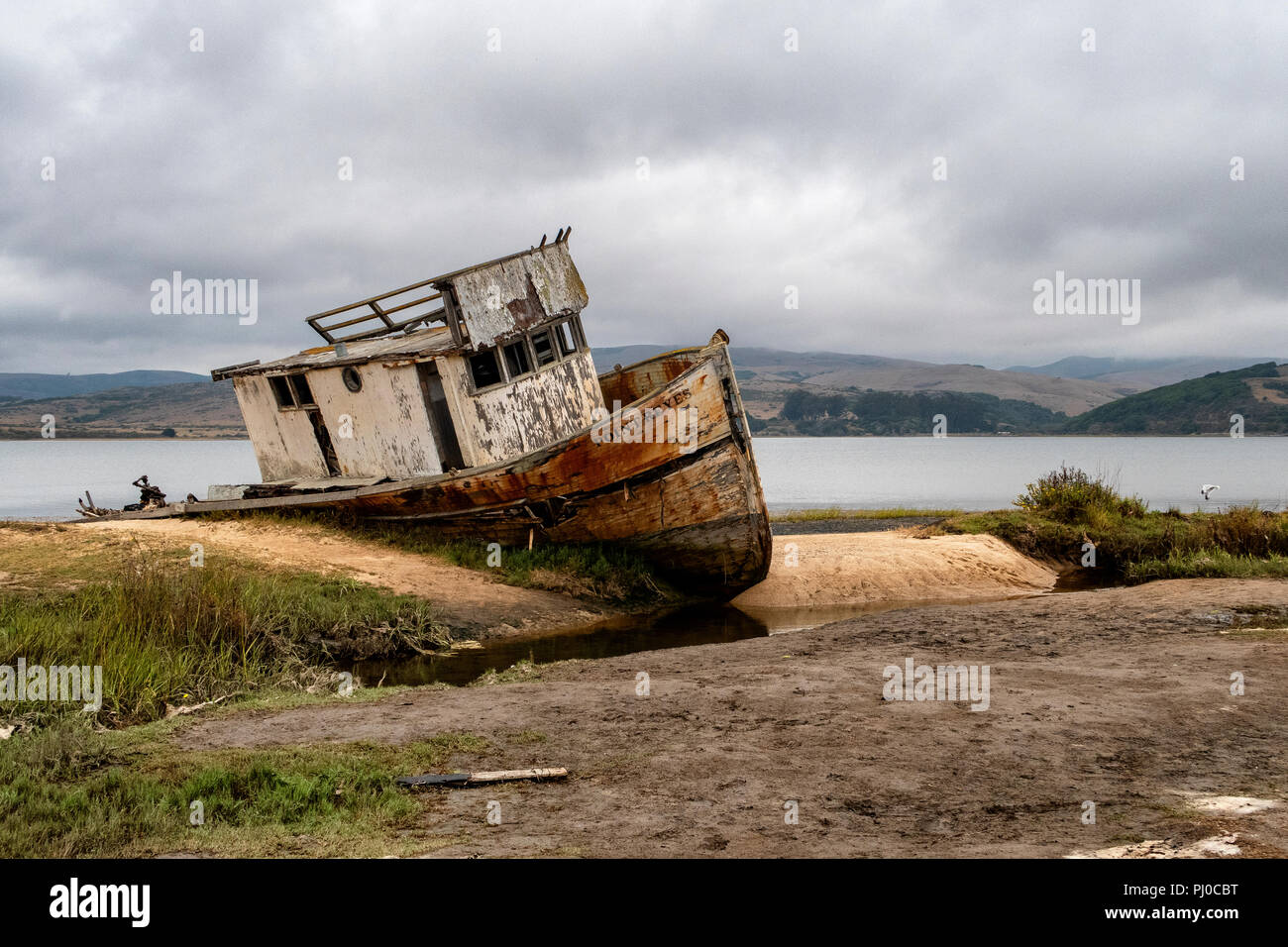 The Point Reyes abandoned shipwreck along the shore of Tomales Bay at ...