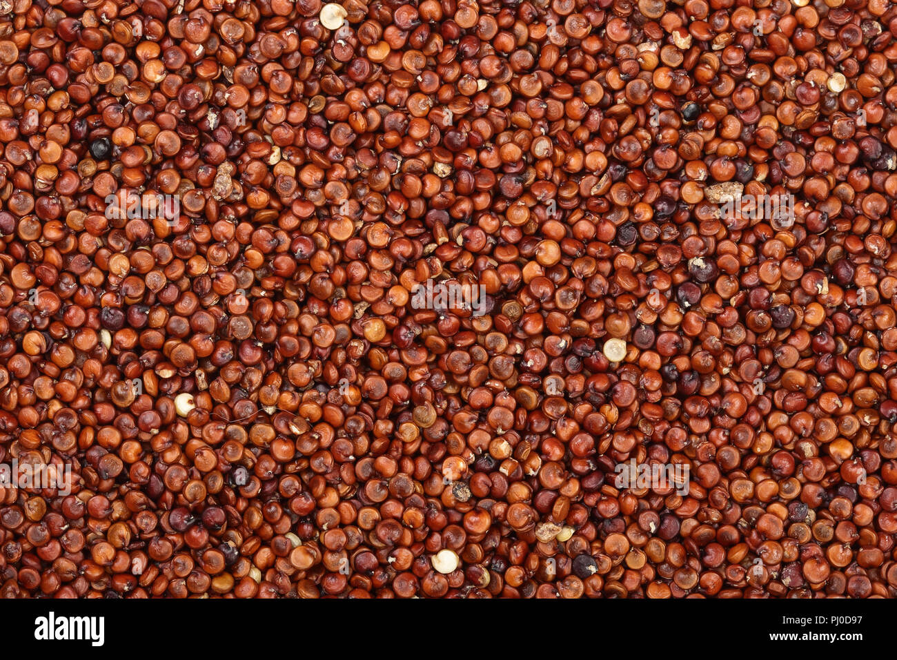 Dry red quinoa close hi-res stock photography and images - Alamy
