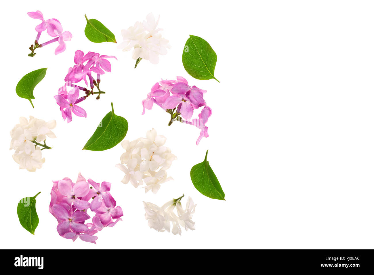 Lilac place Cut Out Stock Images & Pictures - Alamy