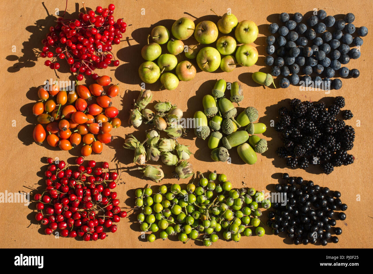 Autumn fruits uk hi-res stock photography and images - Alamy