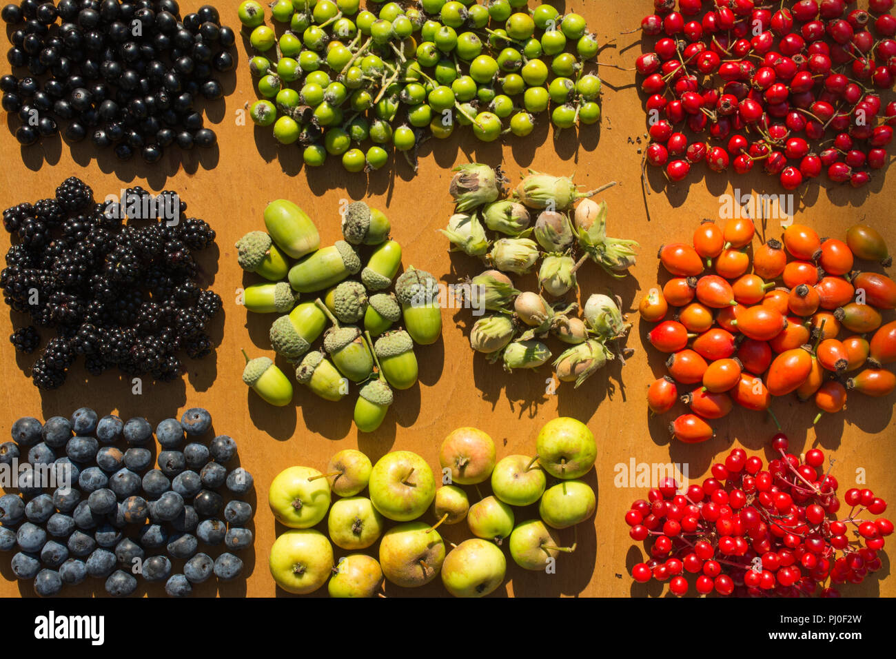 Autumn fruits uk hi-res stock photography and images - Alamy