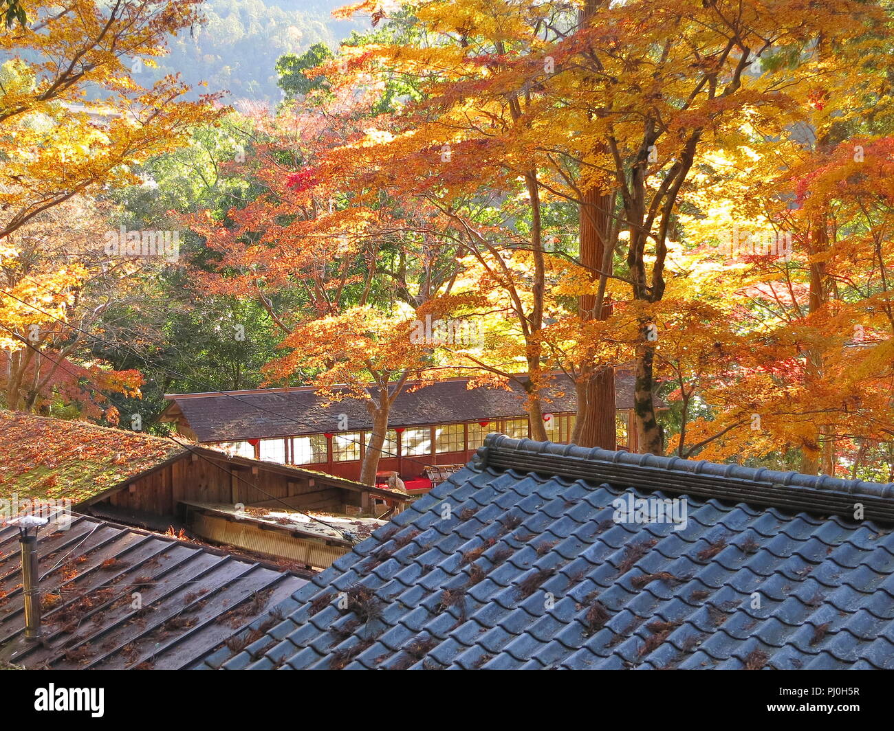 Jingo temple hi-res stock photography and images - Alamy