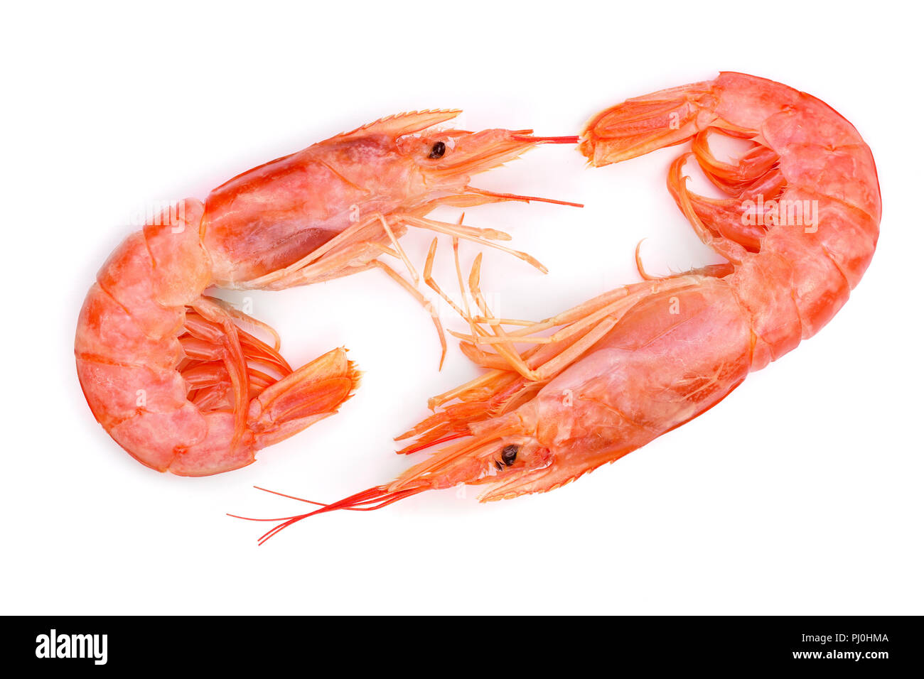 Red cooked prawn or shrimp isolated on white background. Top view Stock ...