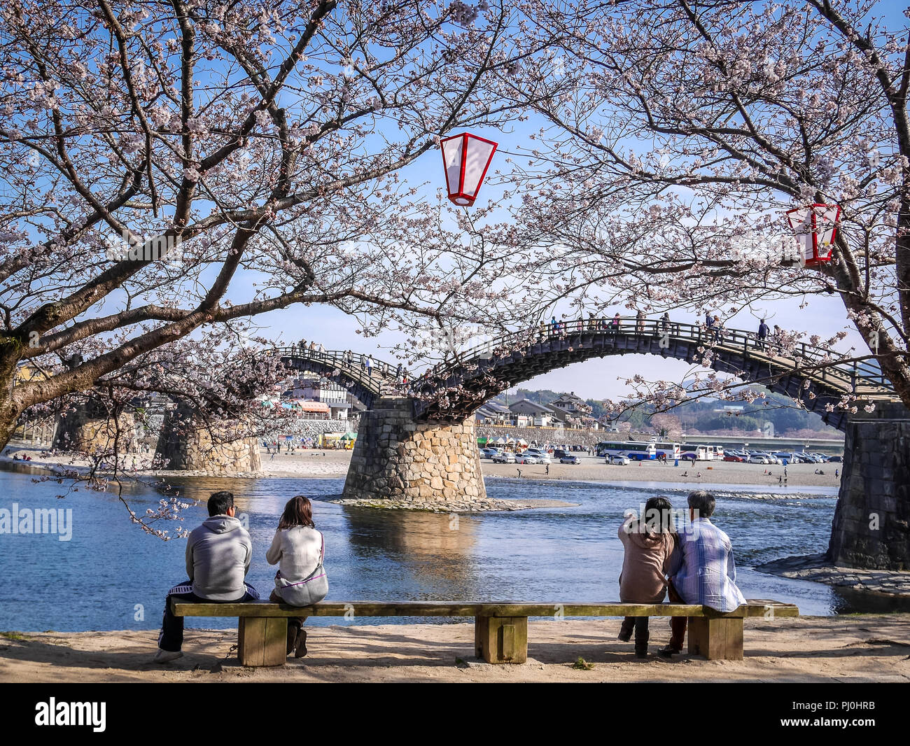 Kintai Bridge, a historical wooden arch bridge with the cherry blossoms ...
