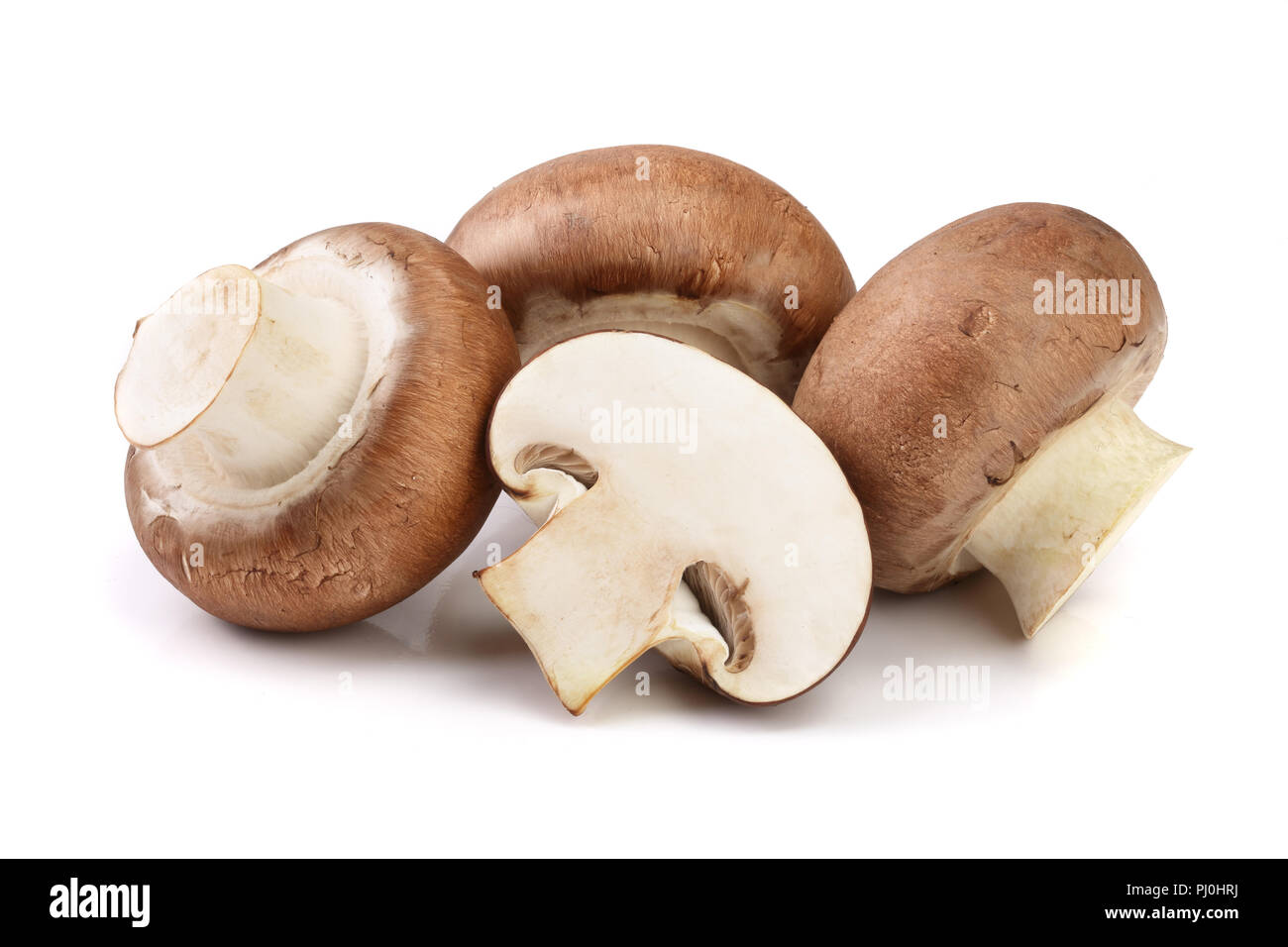 Royal Brown champignon with half isolated on white background Stock ...