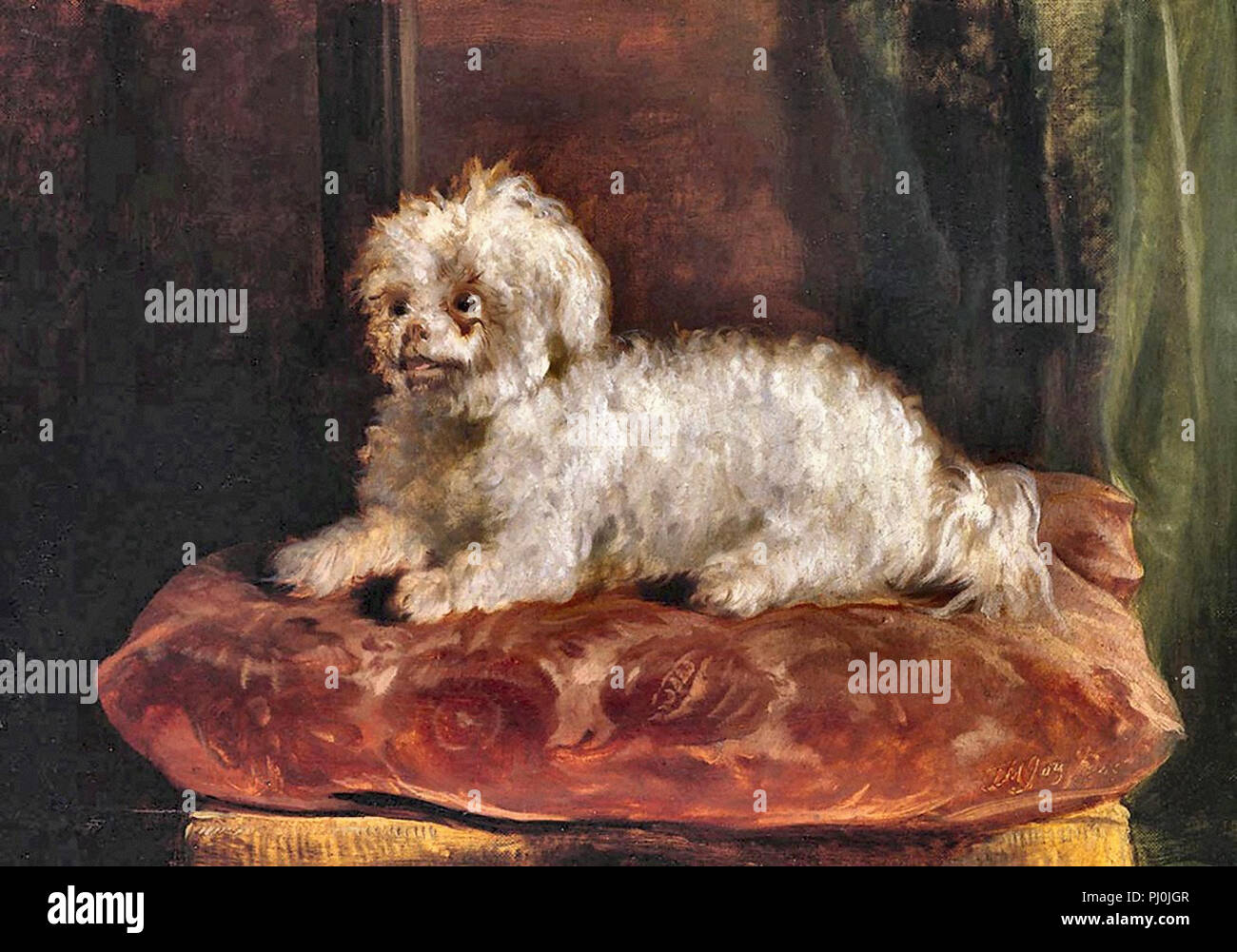 Thomas musgrave hi-res stock photography and images - Alamy