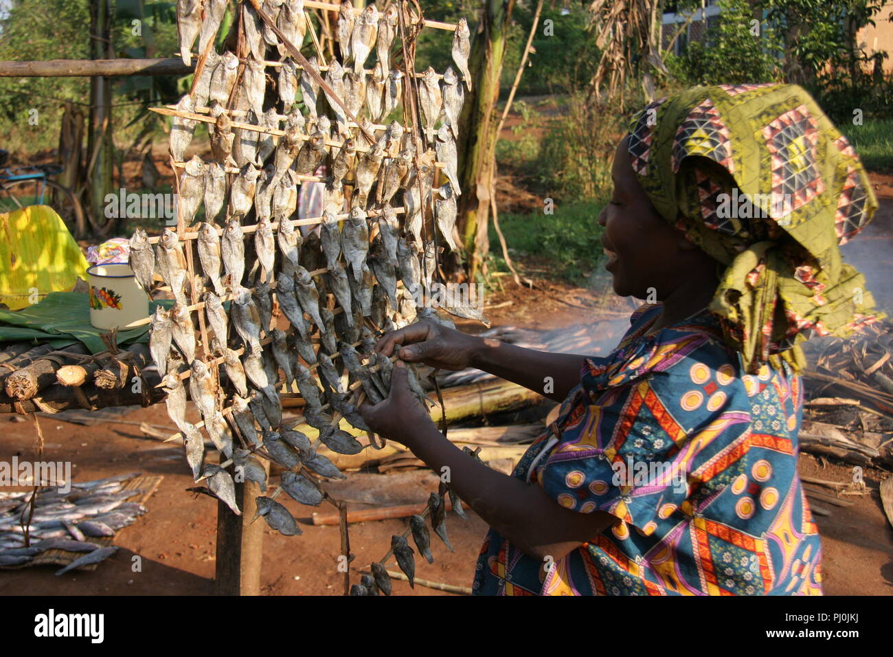 A woman arranges a display of sun dried Nkejje fish to sell in Masaka ...