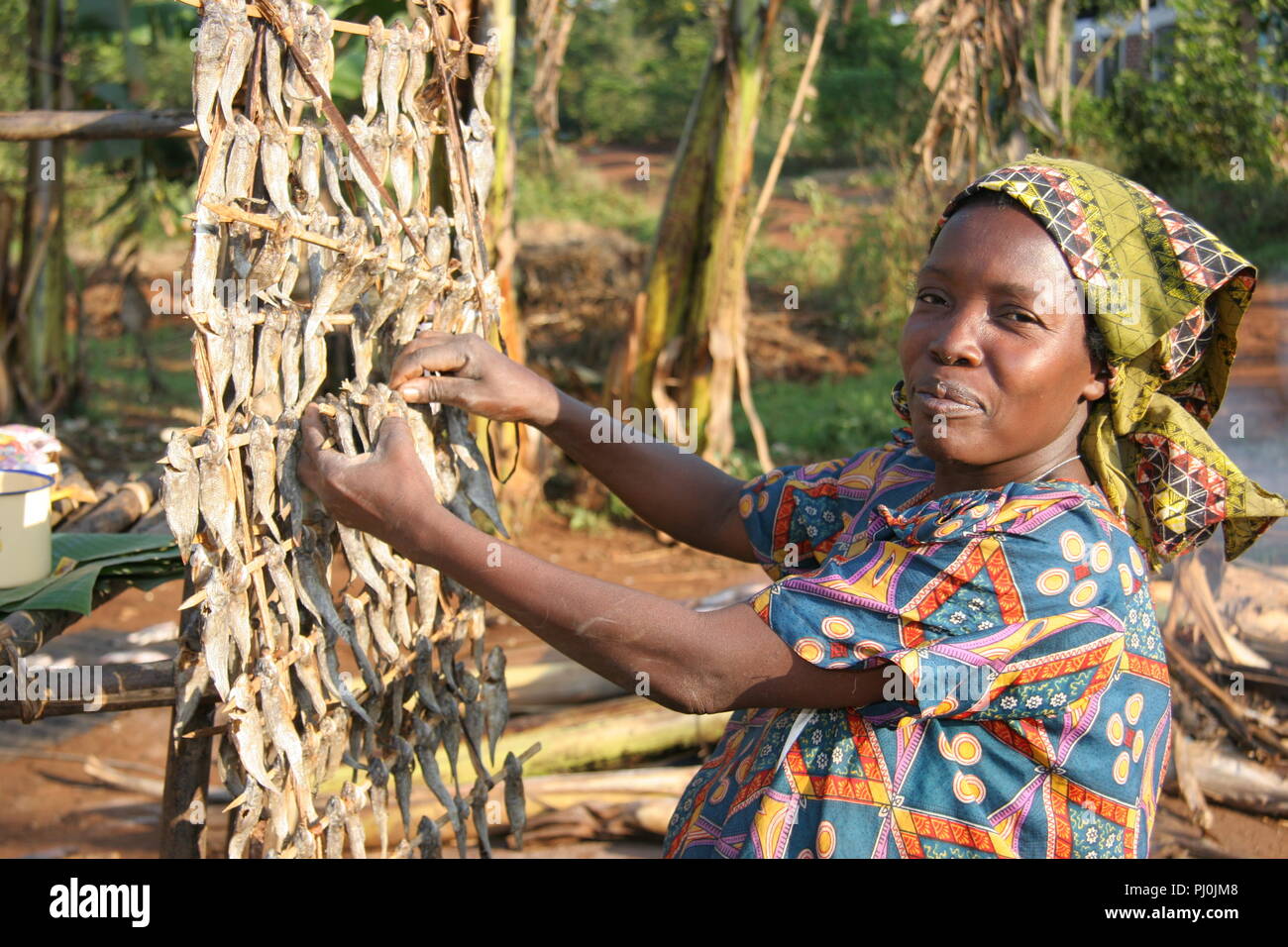 A woman arranges a display of sun dried Nkejje fish to sell in Masaka ...