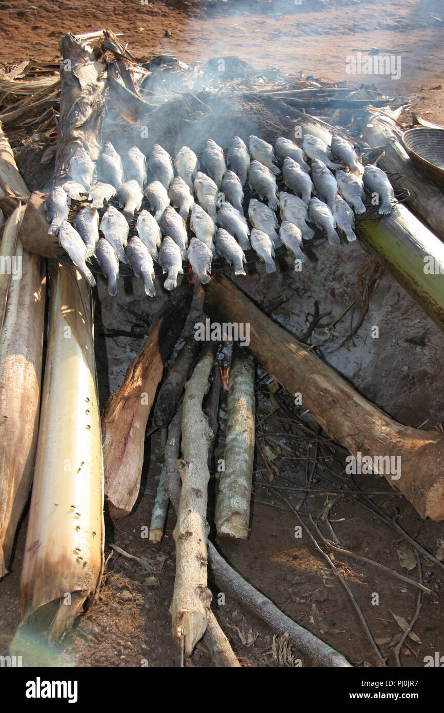Nile perch hi-res stock photography and images - Alamy