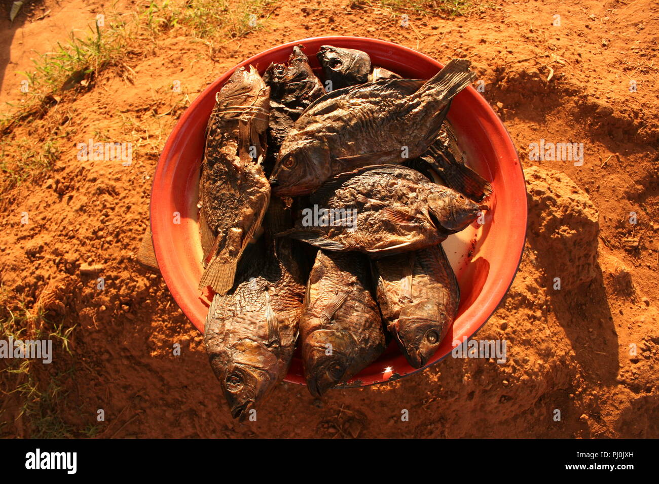 smoke-cured Tilapia fish for sale by the roadside in a suburb of ...