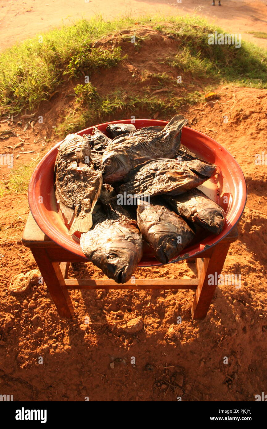 Dried tilapia hi-res stock photography and images - Alamy
