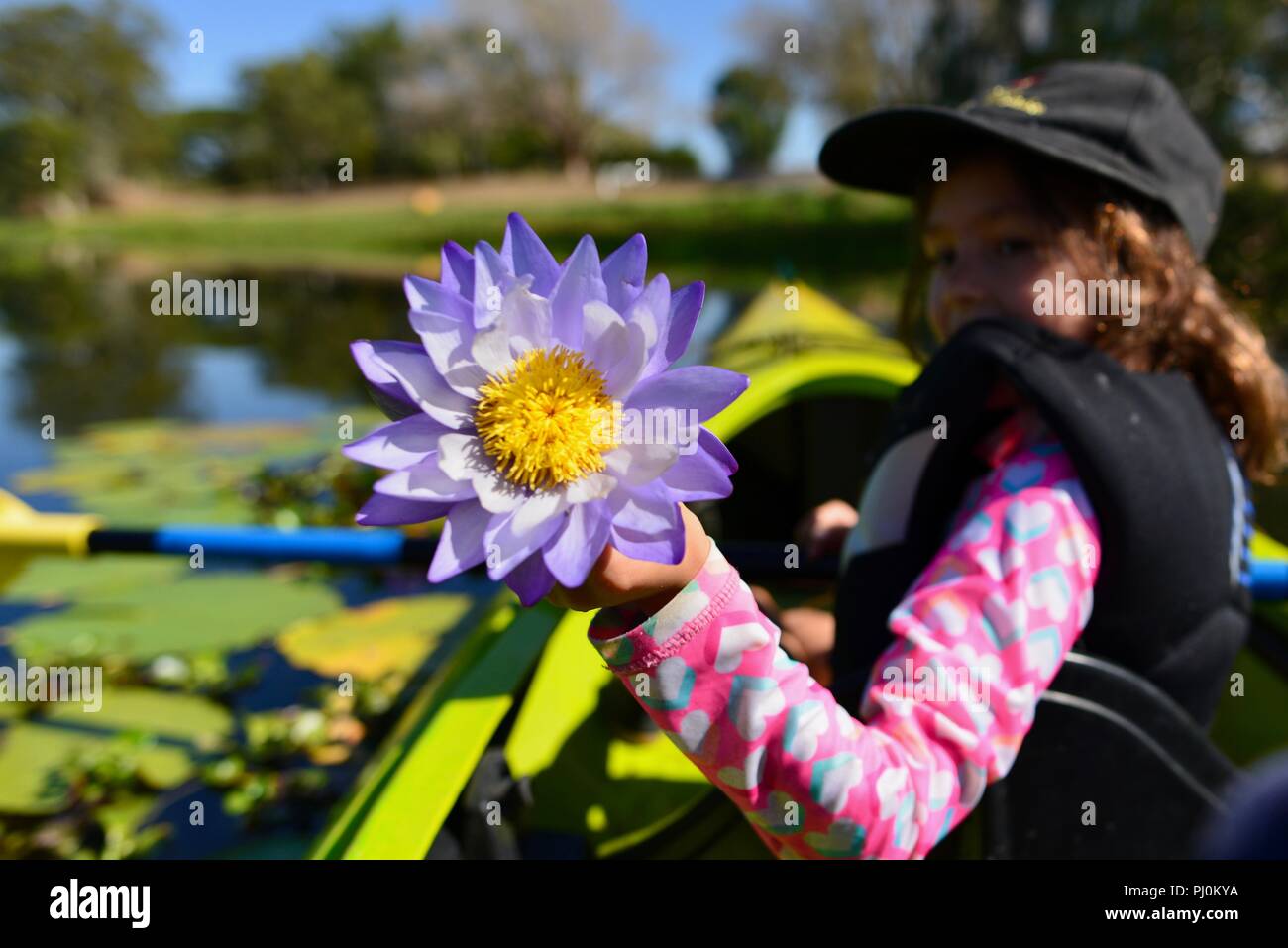 Young girl holding a purple water lily flower while smiling, Ross River ...