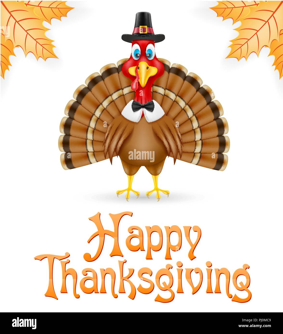 thanksgiving turkey bird vector illustration isolated on white ...