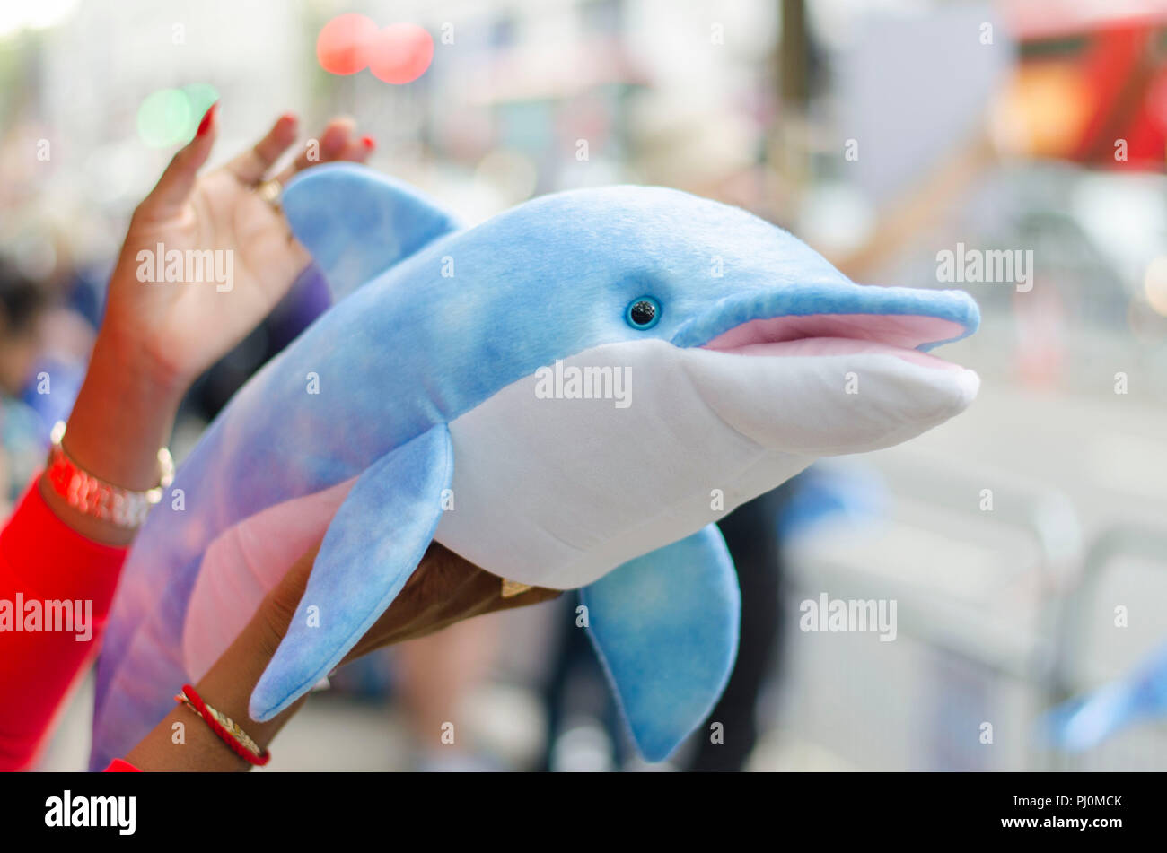 Dolphin toys hi-res stock photography and images - Alamy
