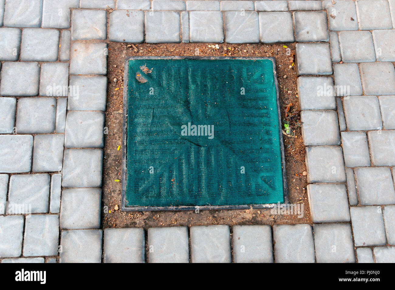 A Close Up view of a square water drain covered in green mesh to ...