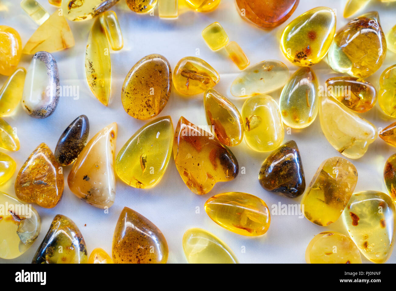 Different pieces, colors, shapes and structure of amber on a white ...