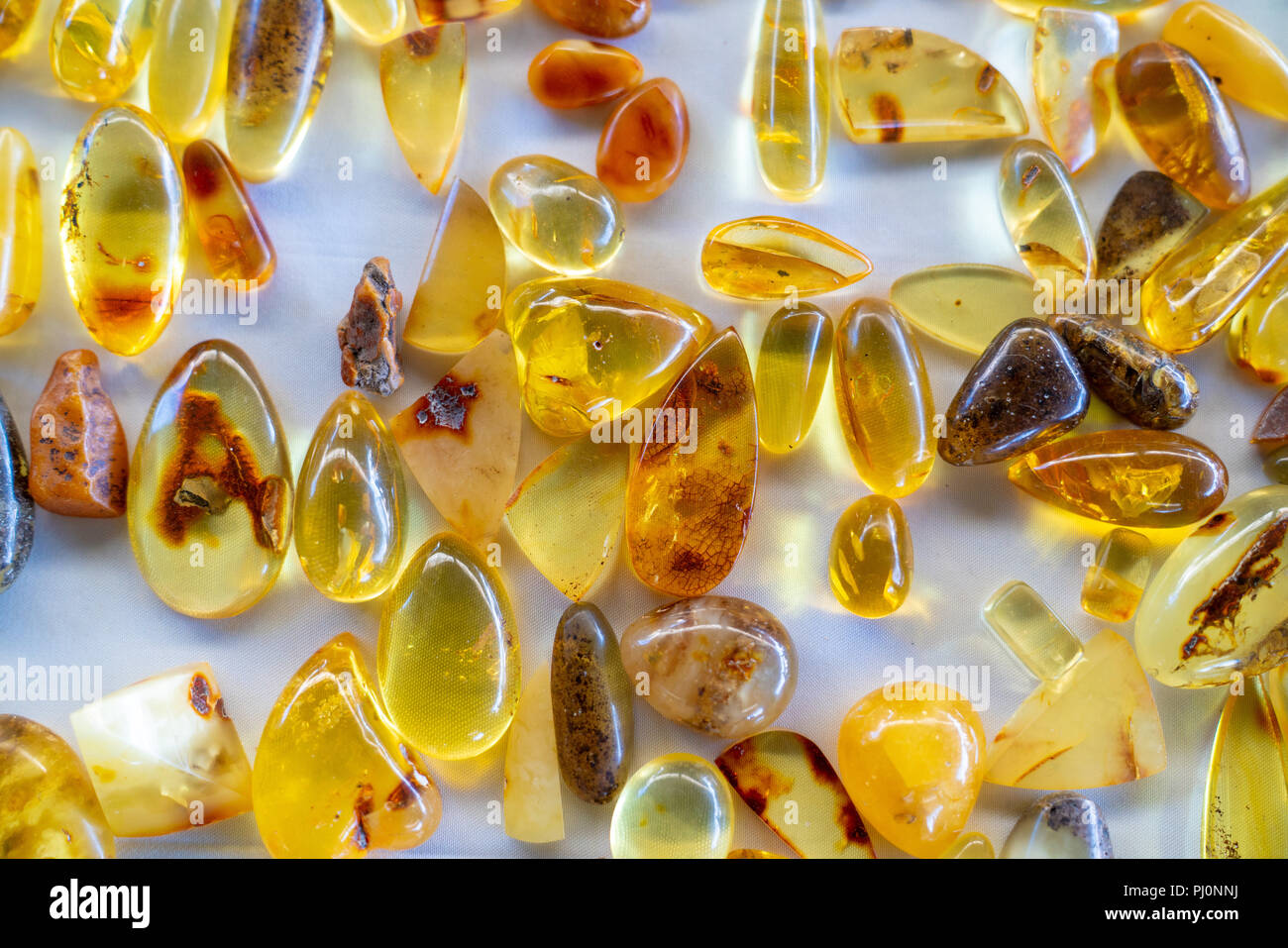 Different pieces, colors, shapes and structure of amber on a white ...