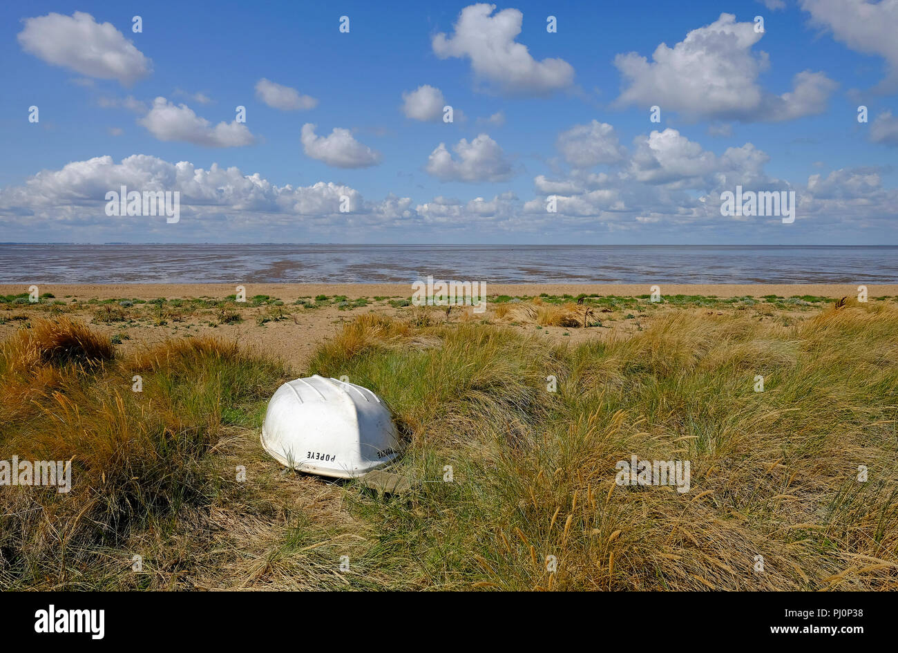 Snettisham, norfolk hi-res stock photography and images - Alamy