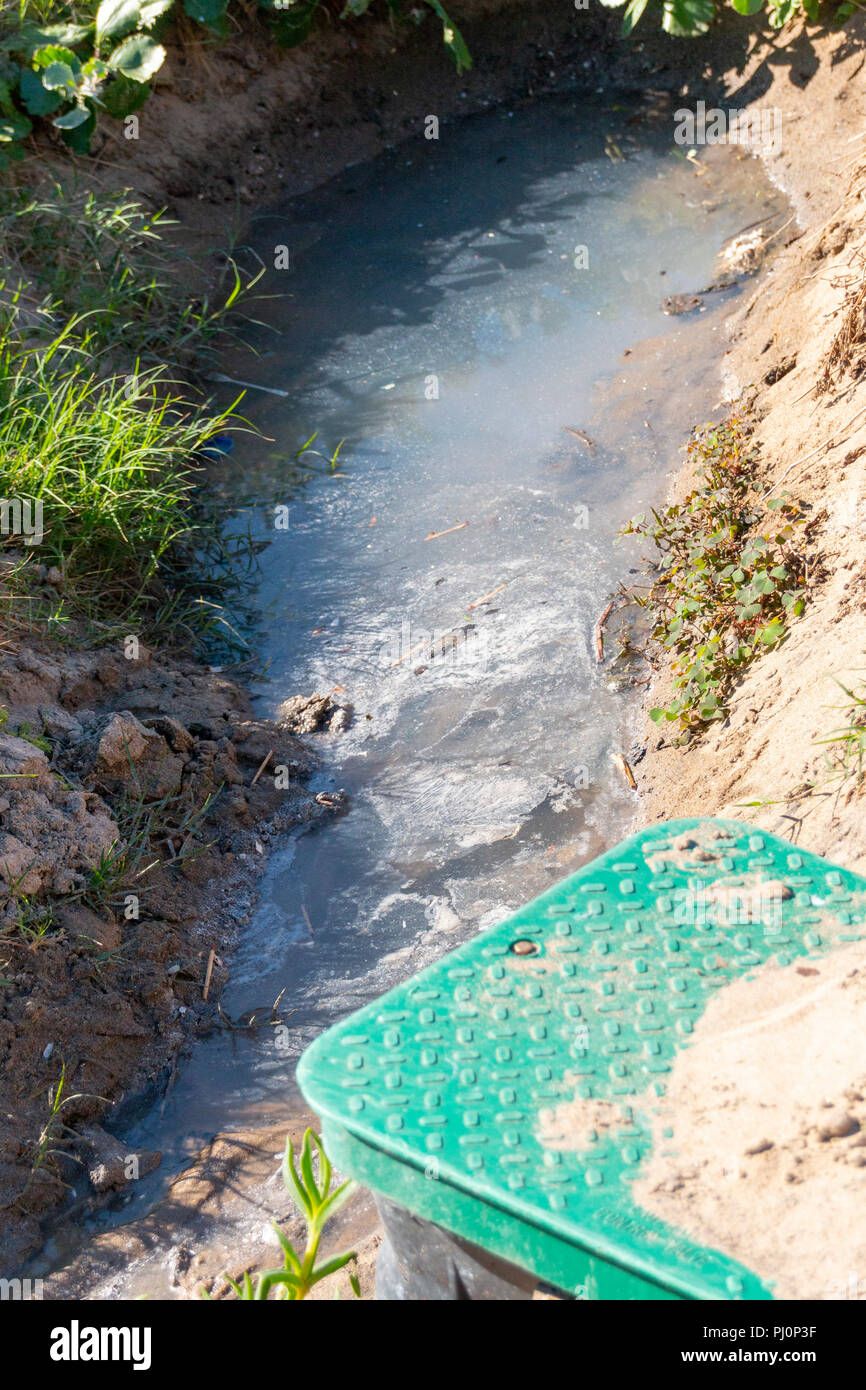 A Close up view of stagnent water on the side of the pathway leading to ...