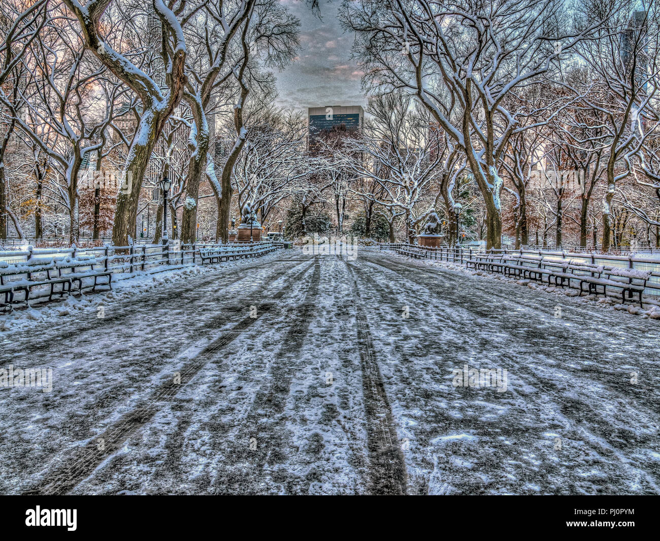 Central Park, New York City Mall after light snow storm Stock Photo - Alamy