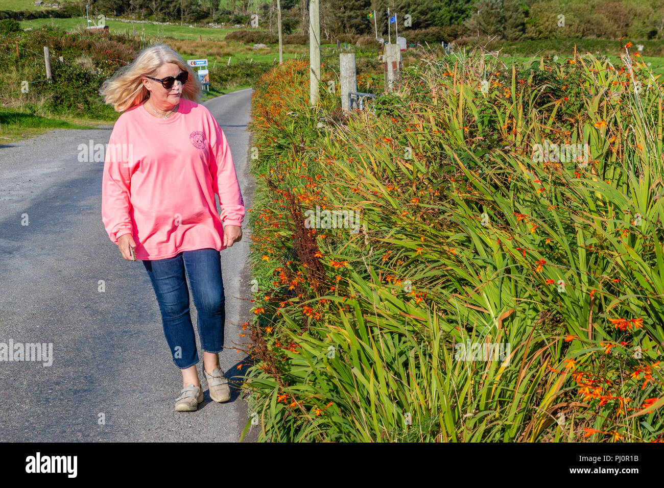 Older blond woman walking in country lane Stock Photo - Alamy