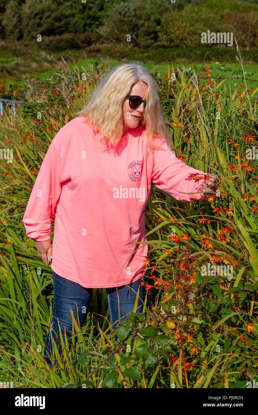 Older blond woman walking in country lane Stock Photo - Alamy